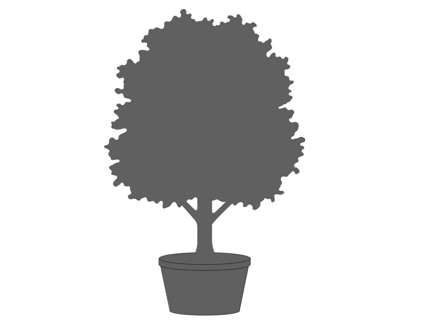 Insect Factsheets – AgriLife Extension Entomology